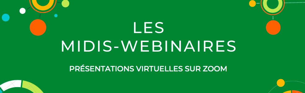 Les disparités de compétences en numératie peuvent-elles expliquer les ...