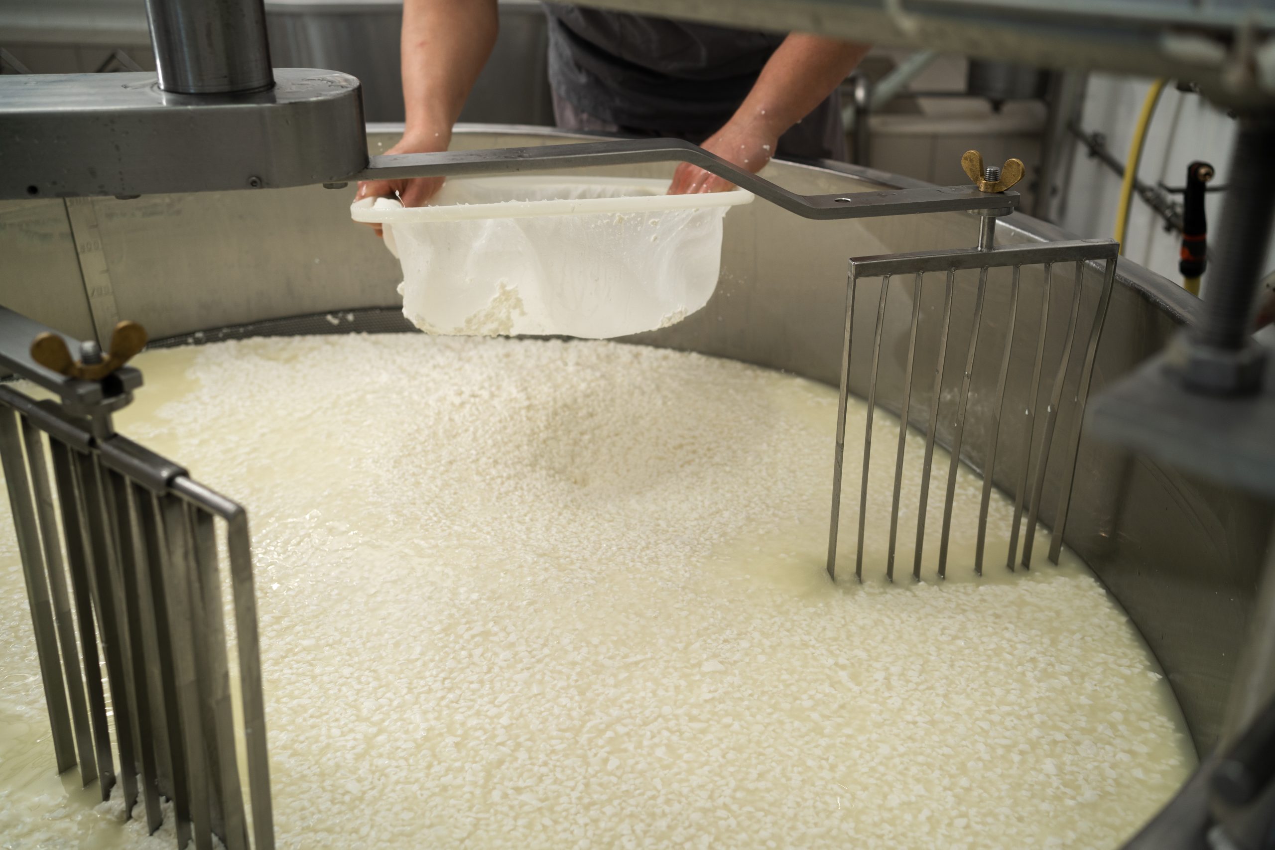 Pour une valorisation plus efficace du petit-lait - Fonds de recherche ...