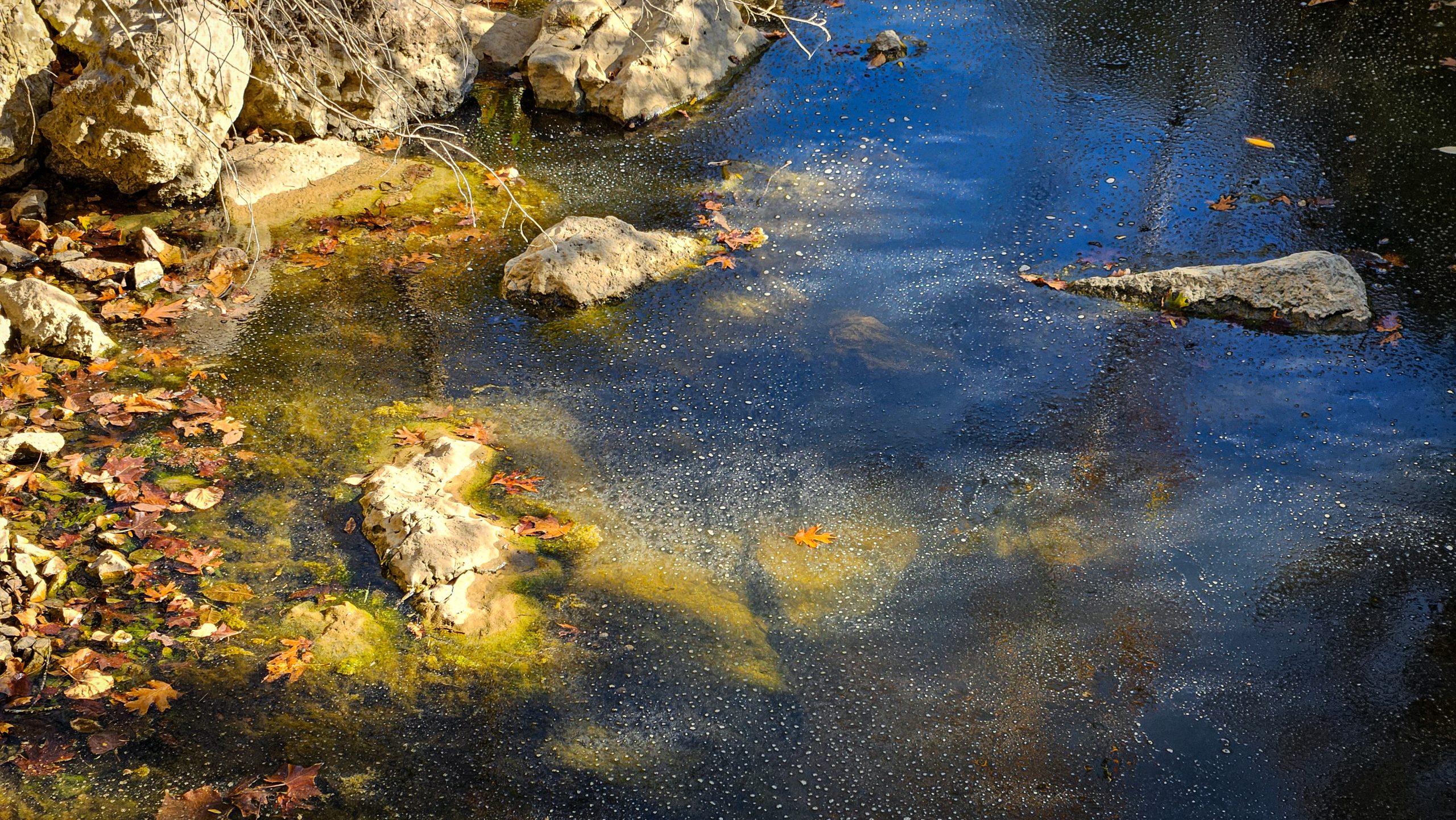Biofilms as indicators of river contamination - Fonds de recherche du ...